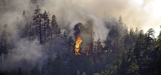 Größter Waldbrand Österreichs