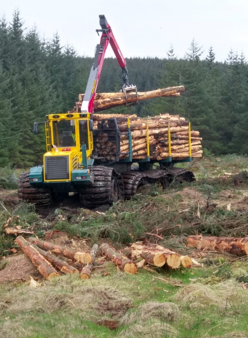 Ein intelligenter Forwarder für Mitteleuropa