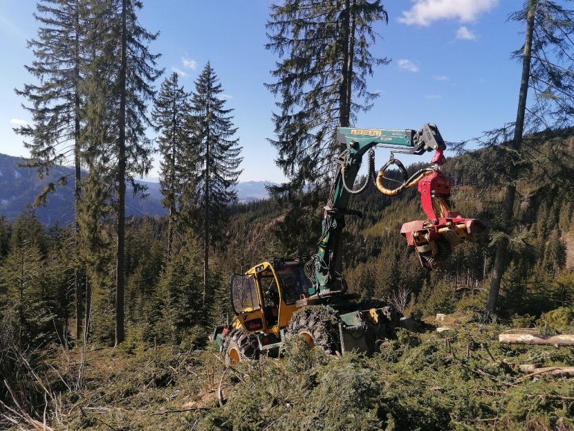 Skidder und Harvester