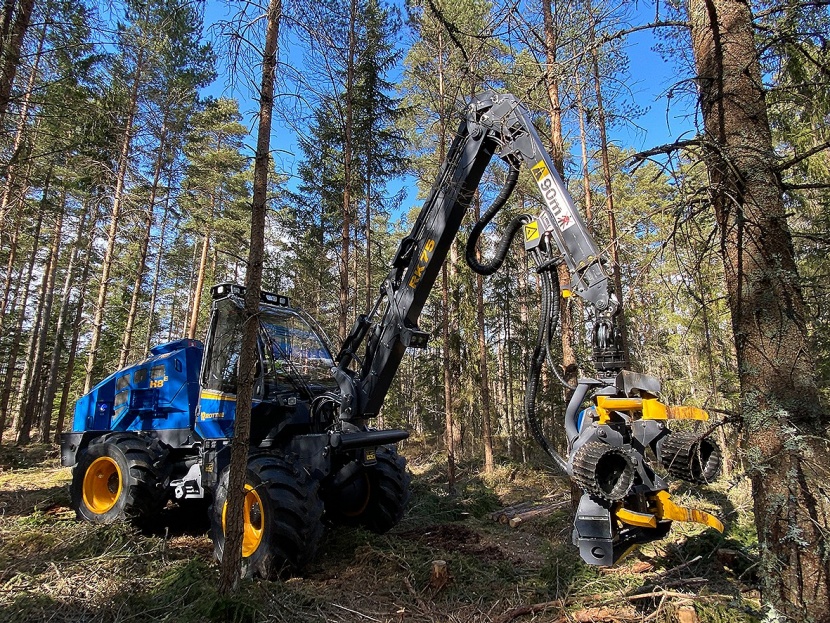 Vorstellung Rottne H8E: Effizient durchforsten