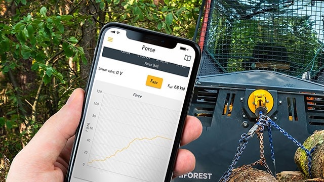 Brennholz und Winden